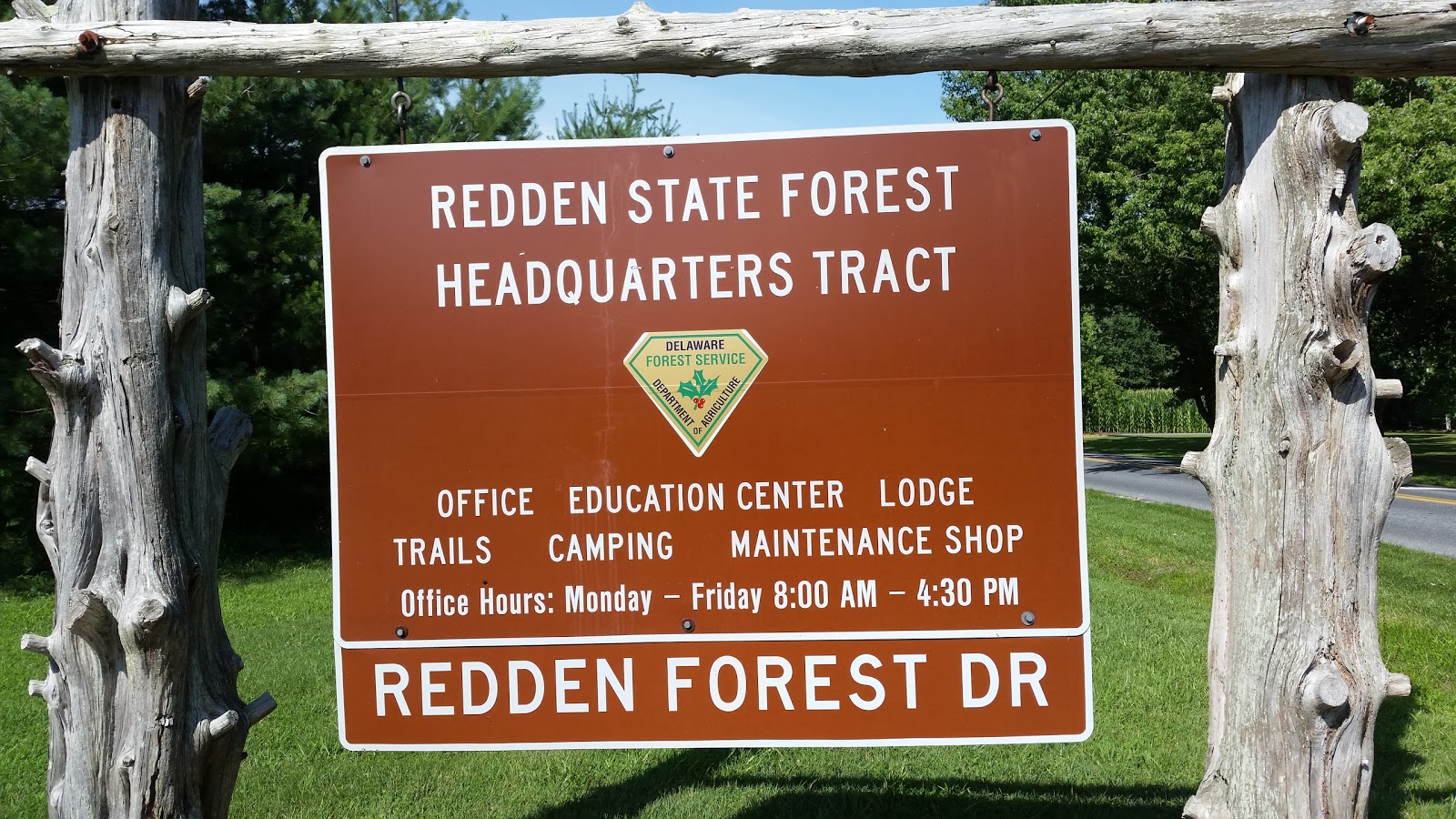 Redden State Forest | SouthDel Sidekick